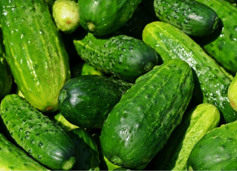 Why Are English Cucumbers Wrapped in Plastic?